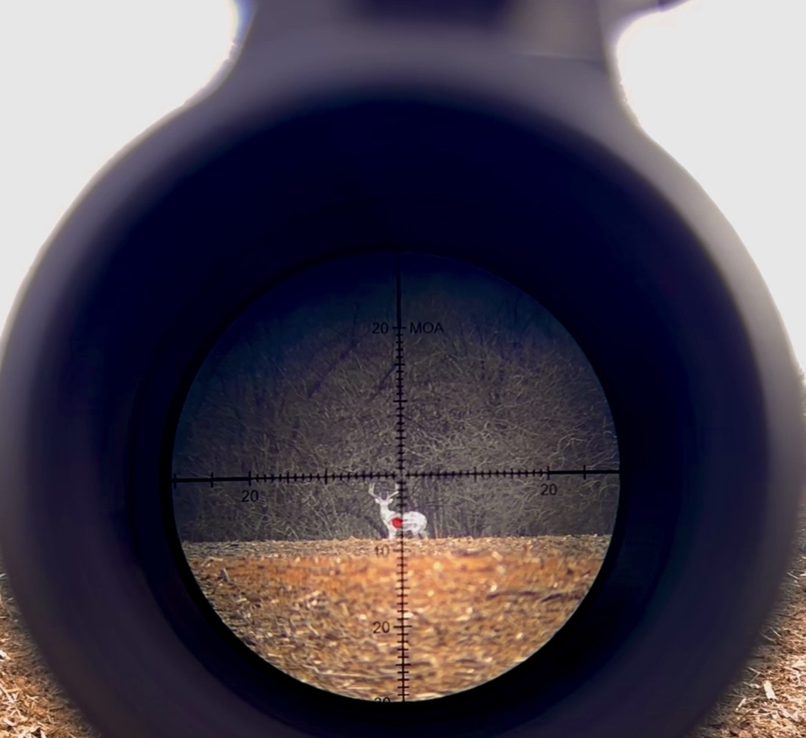 Shoot Life Size Animal Targets – Shoot Life Size Target Co. LLC