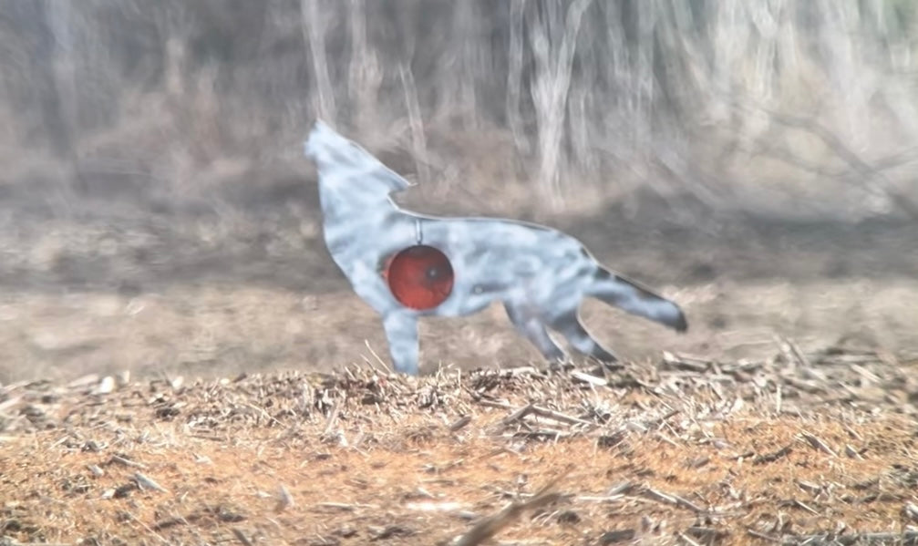 Life Size Coyote Target - AR500 – Shoot Life Size Target Co. LLC